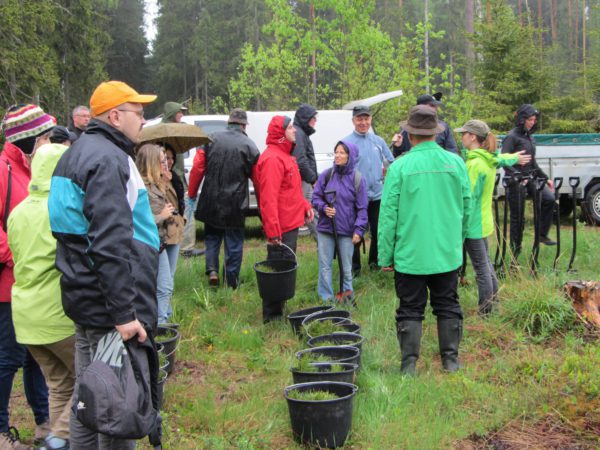 How to afforest for the future? – European State Forest Association